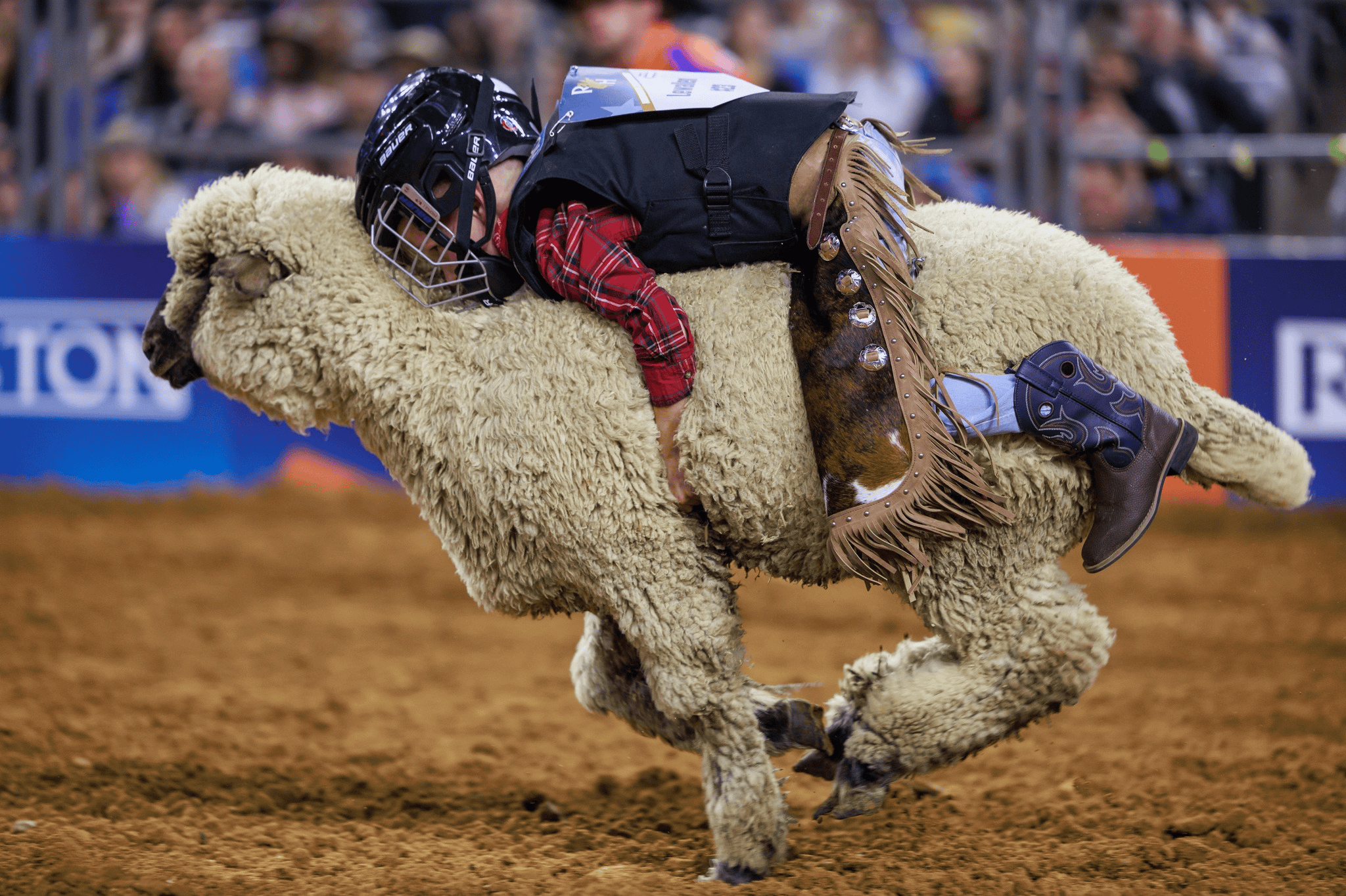 Best Fairs in Texas